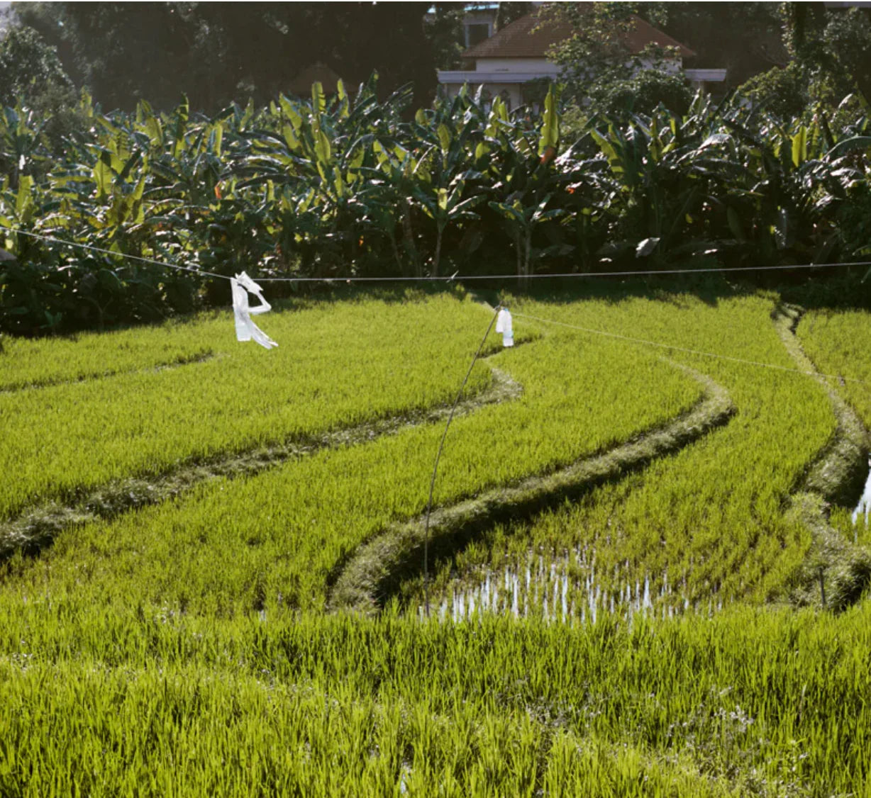 Lasting Relationships